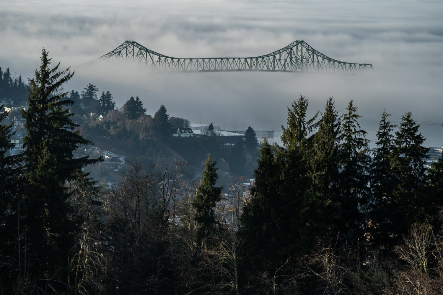 Community Plus - Oregon Today News - Oregon County’s Deflection Program ...