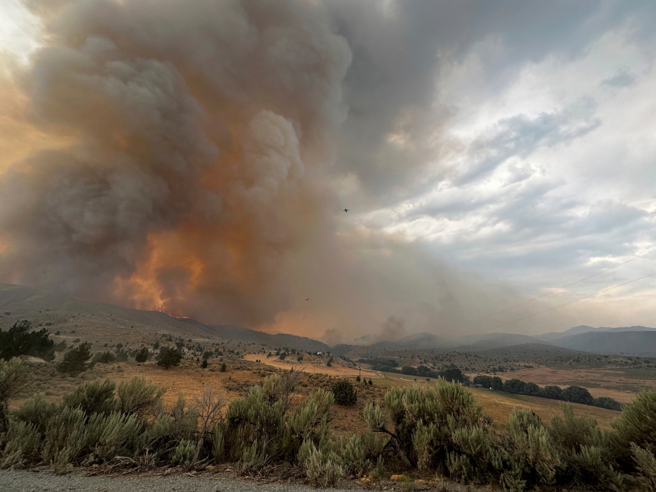 Community Plus - Oregon Today News - Fire Restrictions In Effect In ...